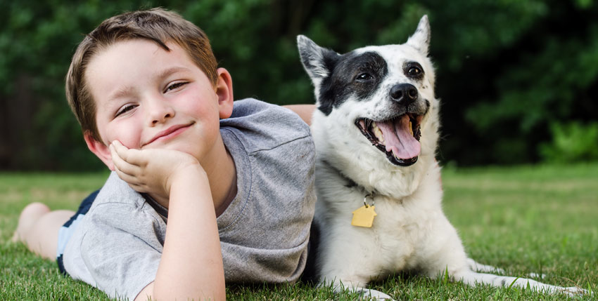 Animal Hospital, Veterinarian | Same Day Veterinary Care | Local Vet