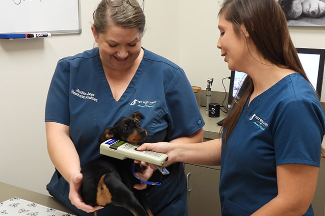 Veterinary Microchipping | Pet Wellness Animal Hospital | Vestavia ...