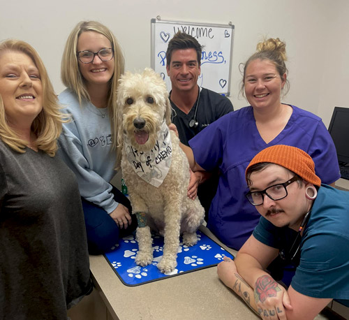 Online Reviews - Pet Wellness Animal Hospital